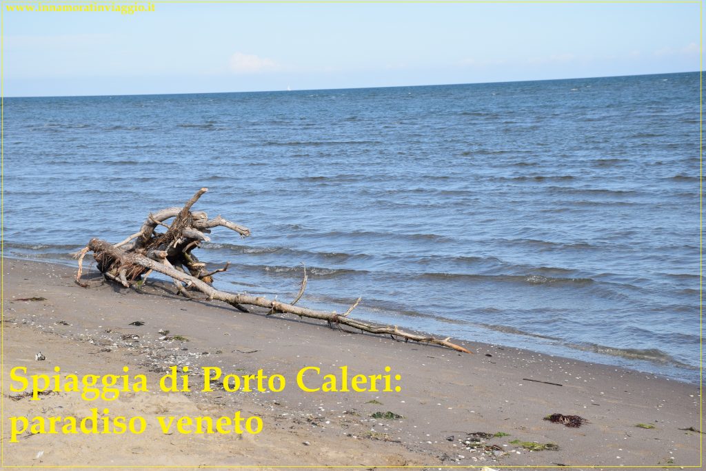 Spiaggia di Porto Caleri, il paradiso veneto protetto dal Wwf ...